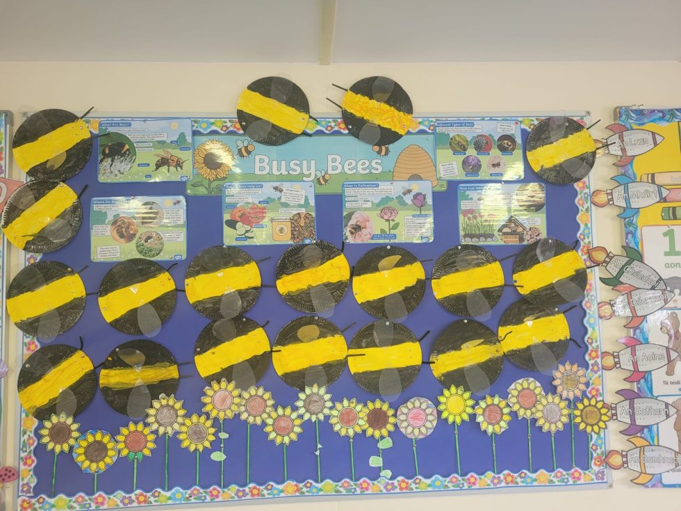 Buzzy Bumble Bees - Scoil Mhuire Carlanstown